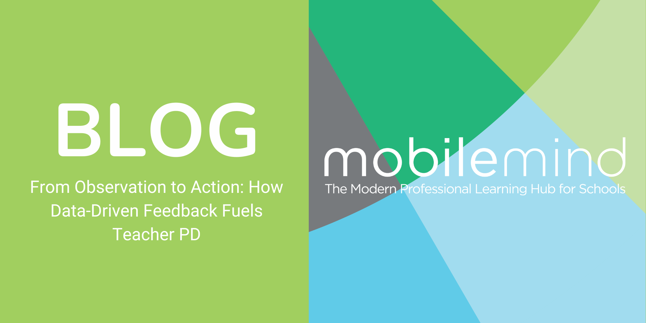 From Observation to Action: How Data-Driven Feedback Fuels Teacher Professional Development